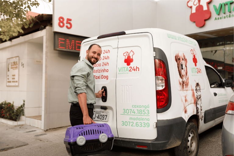 Como abrir um táxi dog na sua clínica veterinária?