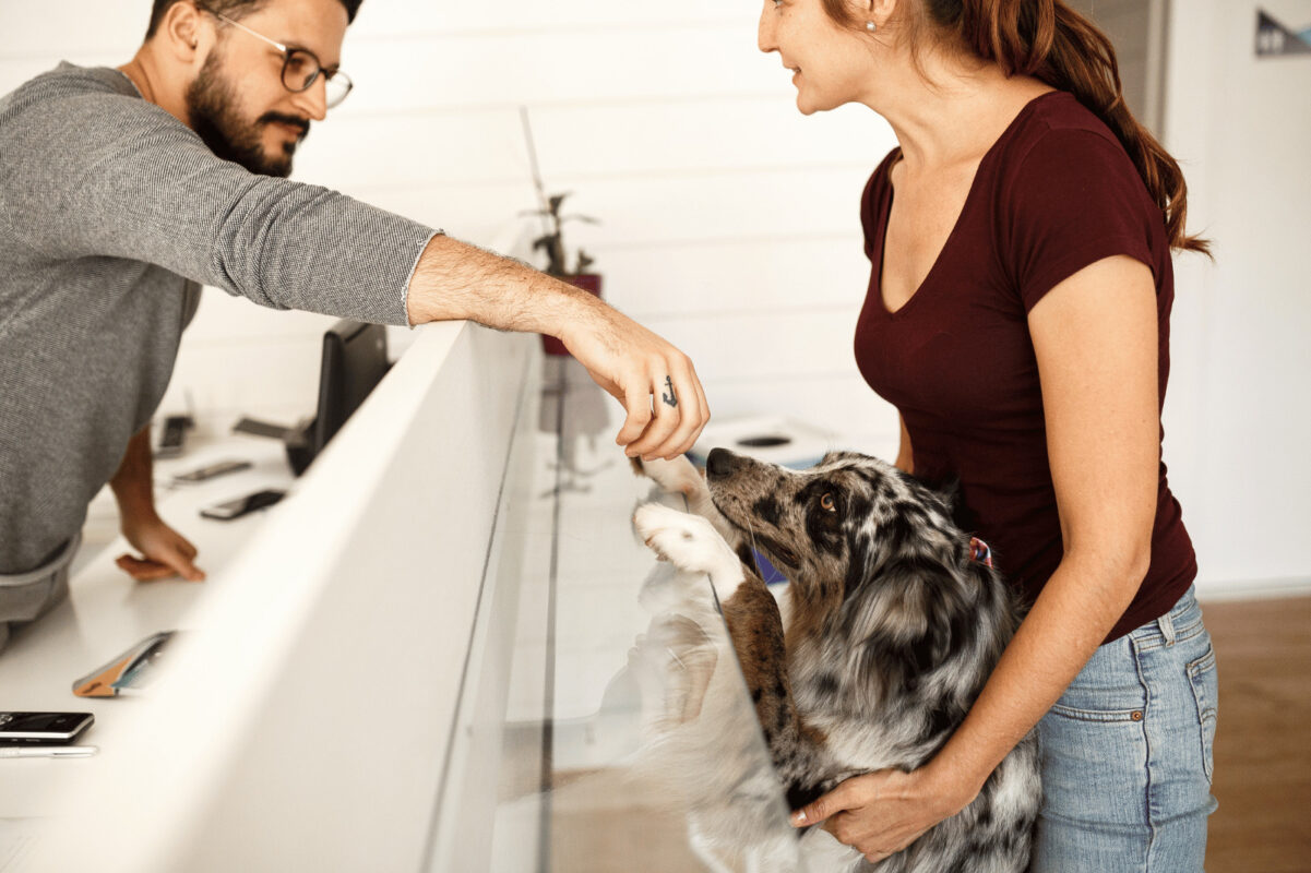 Guia para fidelizar clientes no seu pet shop
