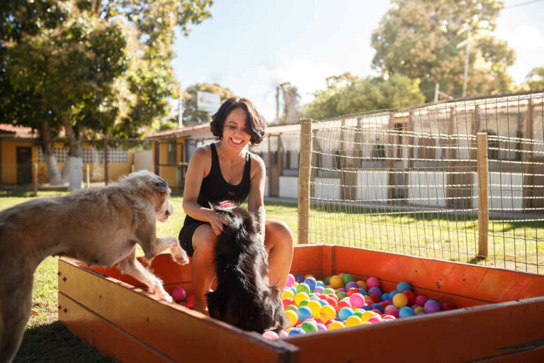 Modelos de pet shop: saiba como inovar em 2024!