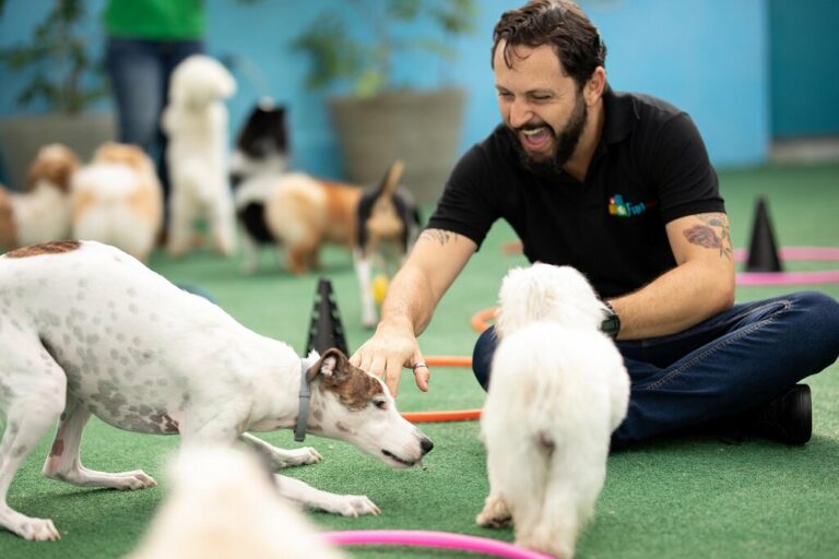 Modelos de pet shop: saiba como inovar em 2024!